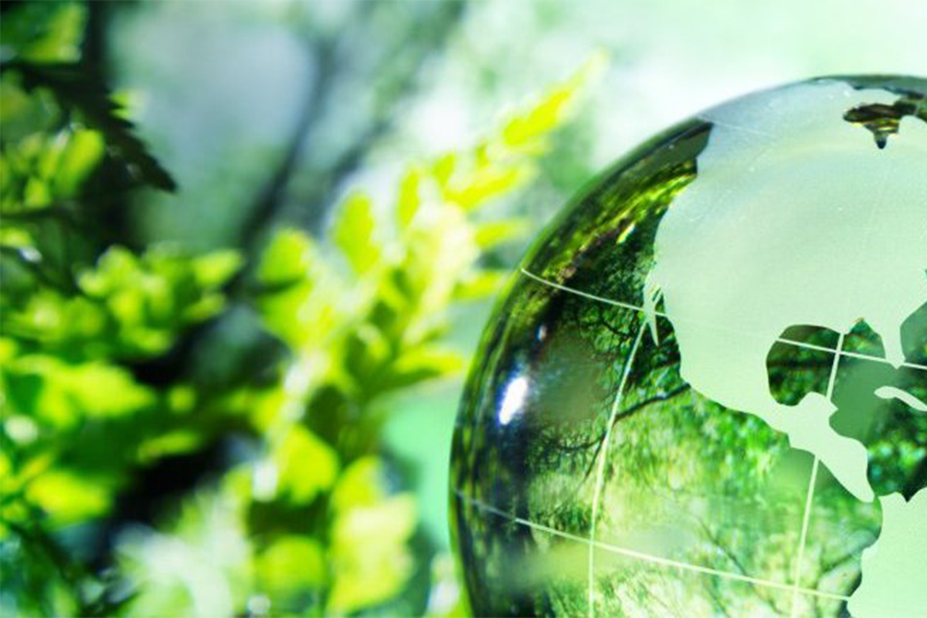 Simbiotic - Portfolio - ORM